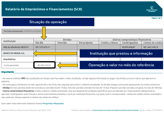 Relatório de Empréstimos e Financiamentos (SCR) | Central de Ajuda BB